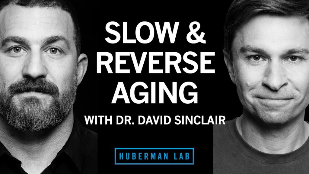 The Biology of Slowing & Reversing Aging | Jumyo