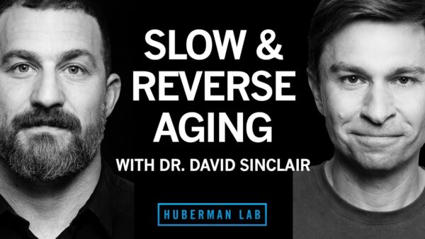 The Biology of Slowing & Reversing Aging | Jumyo